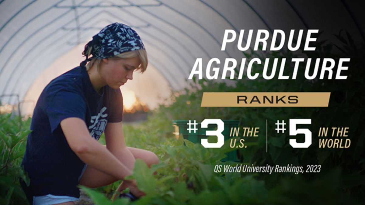 Purdue’s College of Agriculture Rises in National and International ...