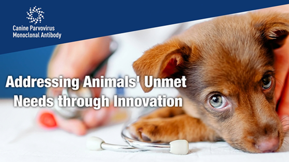 Elanco Announces Breakthrough Treatment for Deadly Canine Parvovirus ...