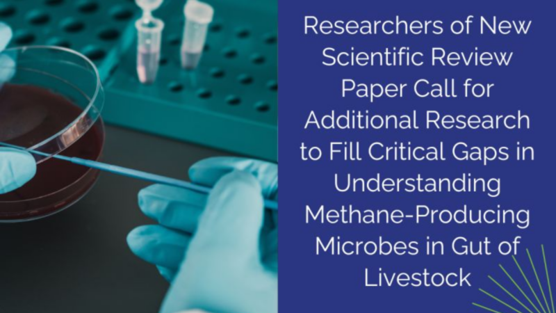 BiomEdit Researchers Release Scientific Review, Calls for Additional ...
