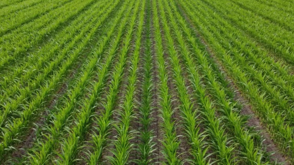 Intelinair Announces Collaboration with Hubner Industries to Develop ...