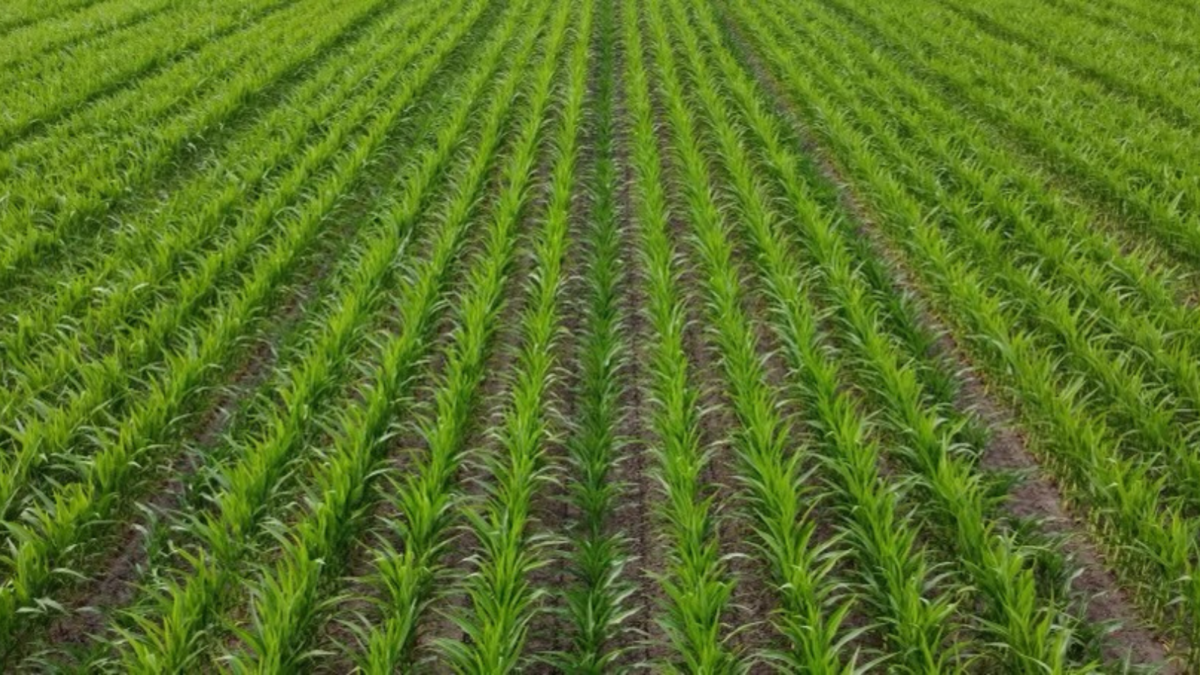 Intelinair Announces Collaboration with Hubner Industries to Develop ...